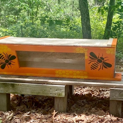 Bee Hive Observation Window for 30 or 20 Bar Hive - Etsy