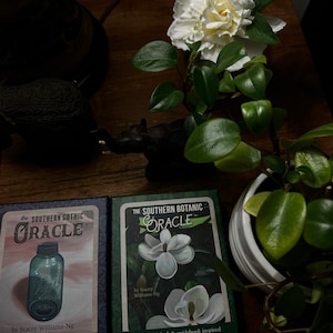 The HAUNTS Expansion Pack for the Southern Gothic Oracle - Etsy