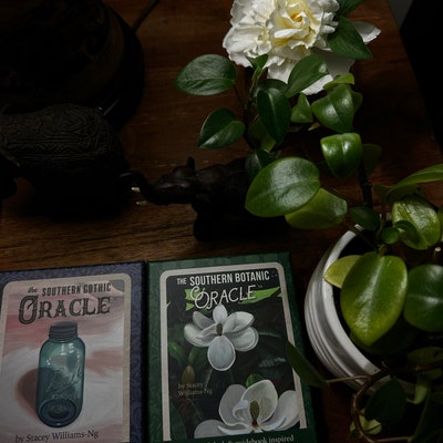 The HAUNTS Expansion Pack for the Southern Gothic Oracle - Etsy