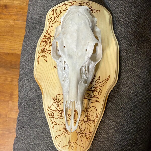 Hunting Plaque - Engraved Leather Photo - First Buck Plaque - Etsy