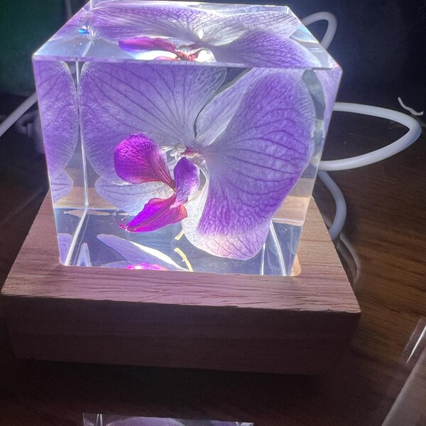 Real White Rose Cube, Forever Rose Crystals Keepsake, Resin Paperweight ...