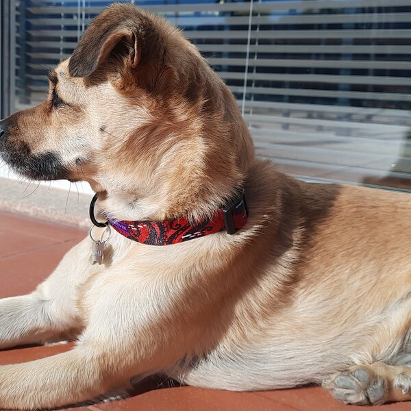 Funny Adjustable Dog Harness, Personalized Guard Harness, Soft Webbing ...