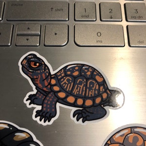 Snakes Vinyl Stickers/decals: Ball Python Black Rat Snake - Etsy