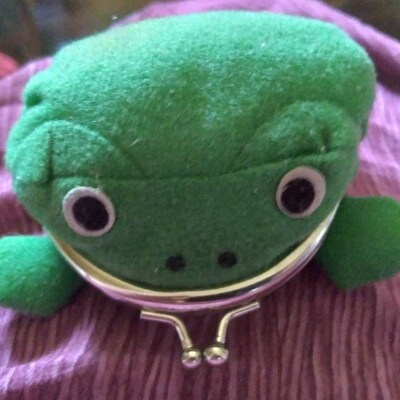 Frog Wallet Coin Purse Manga Flannel Wallet Cute Purse Coin Holder ...