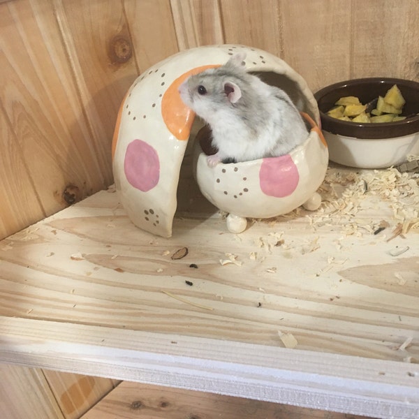The Hamster Collection - Handmade Ceramic, Hamster House, Pet House ...