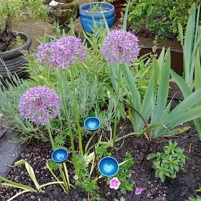 Bee Waterer, Bee Water Stations, Set of Three Cups Garden Sculpture - Etsy