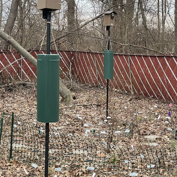 Peterson Bluebird House | Cedar | Insulated | Front Opening | Predator ...