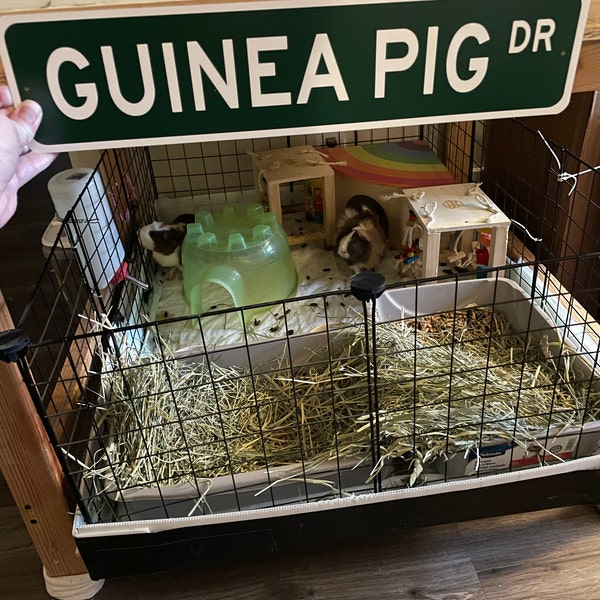 Guinea Pig, Guinea Pig Gift, Guinea Pig Sign, Guinea Pig Decor, Guinea ...