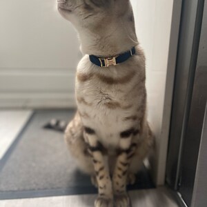 Custom Cat Collar Bell Bow in Blue Corduroypersonalized - Etsy