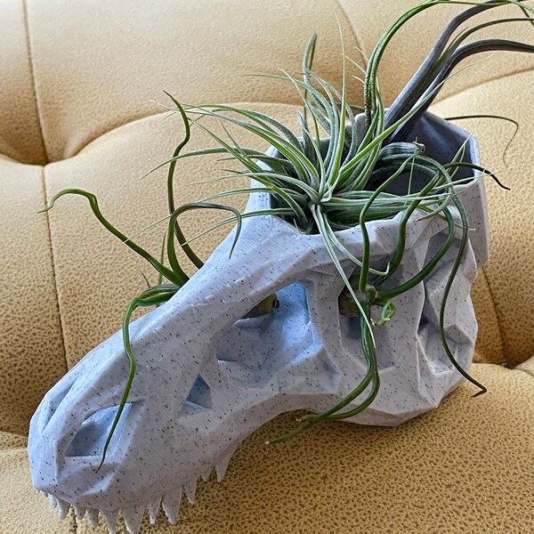 T-bone the T-rex Skull Planter With Plants - THE ORIGINAL! - Nontoxic ...