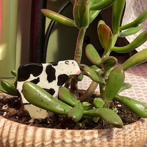 MADE TO ORDER Ceramic Dachshund Magnet Fridge Magnet Dog Mom | Etsy