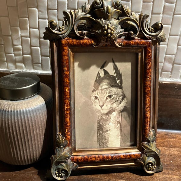 Brünnhilde, Valkyrie Cat Photograph, Antique Vintage Cat Photo Print ...