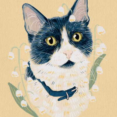 Custom Pet Portrait Postcard Set,custom Cat Dog Postcards, Custom Pet ...