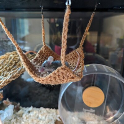 Bearded Dragon Candy Corn Costume Sweater Halloween Lizard - Etsy