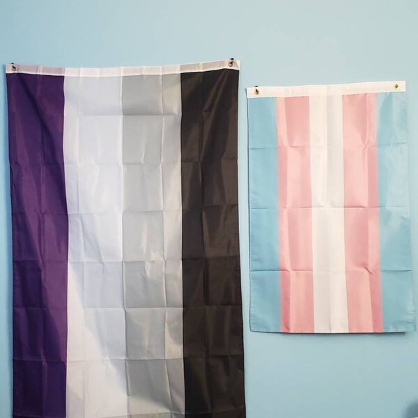 Custom Flag, 5 Sizes, Any LGBTQIA2S+ Pride Flag, Rainbow Pride, Ideal ...