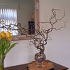 Contorted Willow, Natural Corylus, Twisted Hazel 60cm. - Etsy UK