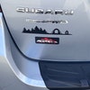 Over Badge Decal, Decal for Trunk Rear Subie, Vinyl Horse and Trees ...