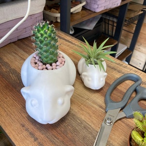 Fire Hydrant Succulent Planter Home Decor Modern Planter - Etsy