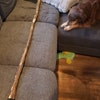 Bundles of Hiking Sticks, 5 Foot Walking Stick Bundles, Hiking Sticks ...