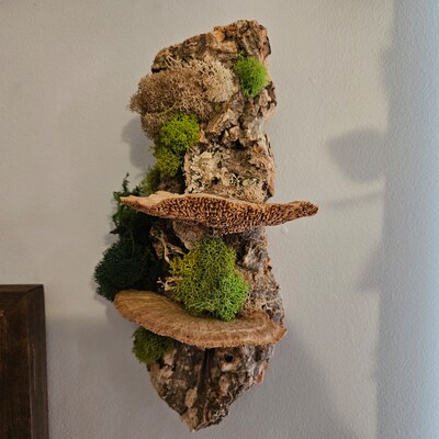 Floating Forest Art Gift, Moss on Cork Bark Natural Wall Decor ...