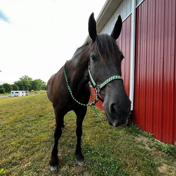 Neon Yellow Solid 8ft 9 Strand Adjustable Braided Knotted Paracord ...