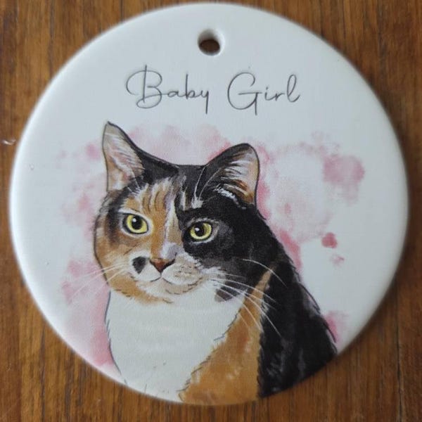 Custom Cat Ornament, Personalized Cat Ornaments, Pet Ornament for Pet ...