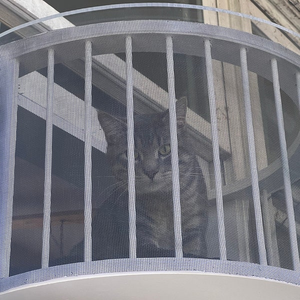 Cat Solarium Sunroom Package: the Ultimate Cat Window Box. This Catio ...