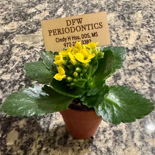 Suc-cess You Did It Custom Graduation Grad Plant Stick Gift Ideas ...