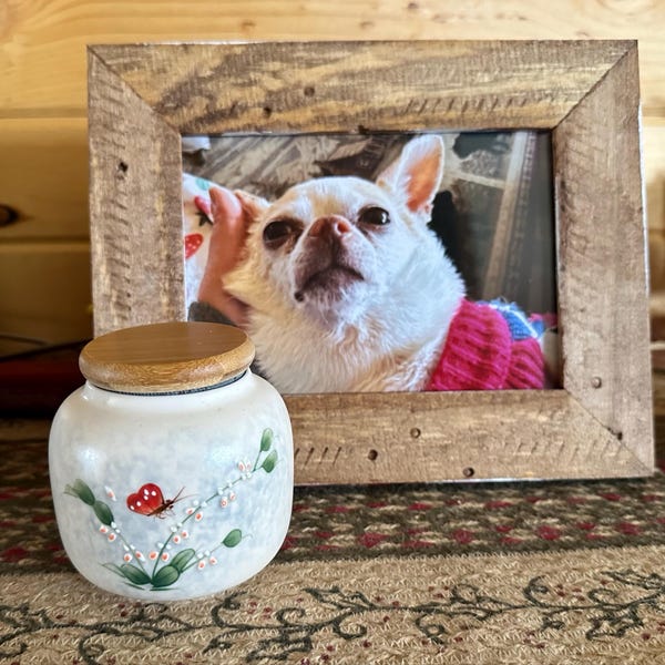 Custom Mini Ceramic Urn, Unique Dog Ashes for Memory Pot, Small Urn for ...
