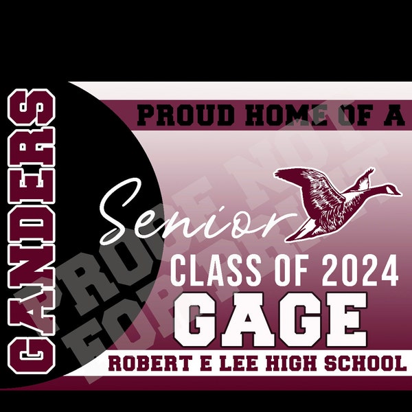 Customizable Senior Yard Sign: School Colors, Class of 2025 (18x24 ...