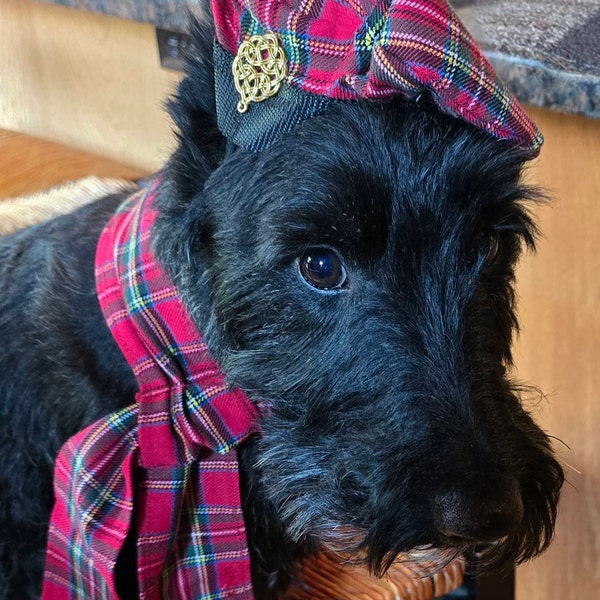 William Wallace Dog Kilt, Medieval Kilt, Ancient Dog Kilt, Tartan Kilt ...