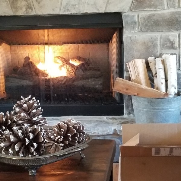 Birch Bundle of Logs (10) Free Shipping - Etsy