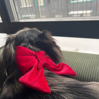 Gingerbread Man Costume Inspired Sailor Bow for Dogs and Cats ...