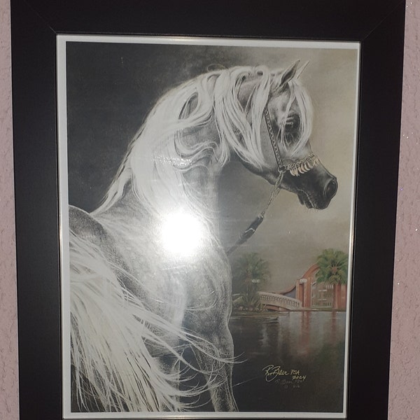 Arabian Horse Art Print "arabian Stallion" 8 X 10 Inch Giclee by Artist ...