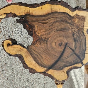 Ancient Holm Oak Coffee Table Cookie Slab Tree Slice - Etsy