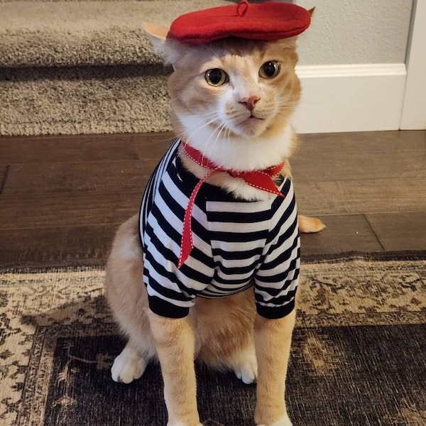 Complete French Cat Outfit- Cat Beret, Ascot and Striped Shirt Pet ...