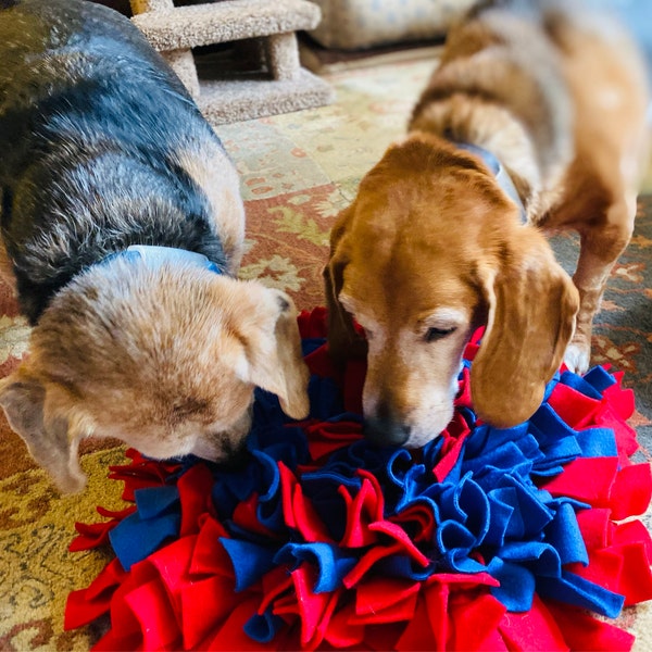 Nose-n-nibble Premium Snuffle Mat: Food Foraging Fun for Dogs, Cats ...