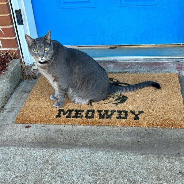 Meowdy Doormat, Funny Door Mat, Cat Doormat, Funny Welcome Mat, Cowboy ...