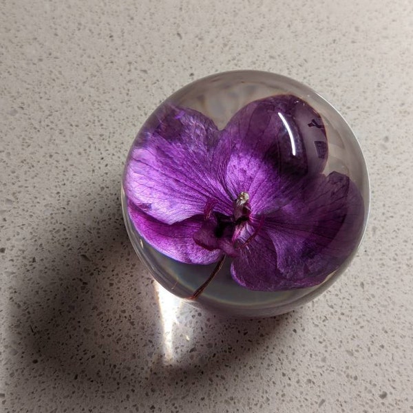Weed or Flower Paperweights - Made From Real Dandelion Seed Puffs and ...