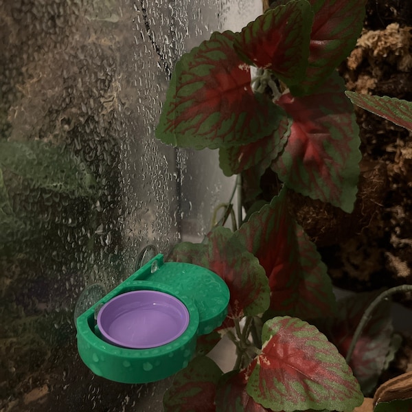 Gecko Food Ledge + Bowls & Spoon Kit | Choice of Colours | 3D Printed ...