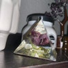 Red Rose Resin Pyramid Paperweight Keepsake Real Flower Home Decor ...