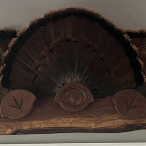 Walnut Turkey Bust Display for Tail, Beard, Spurs, Shotgun Shell, & Fan ...
