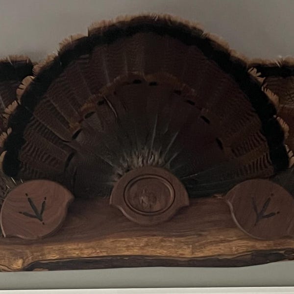 Walnut Turkey Tail Fan Display Kit: Live Edge Beard & Spur Mount - Etsy