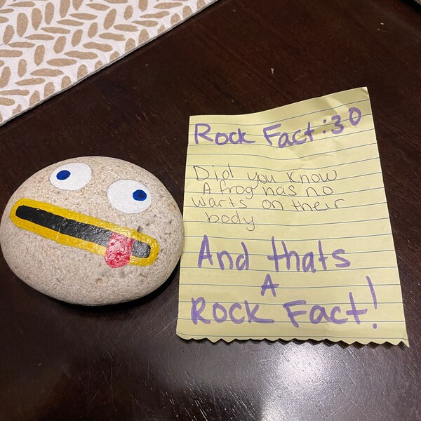 Rock Fact Garden Rock Decor Paperweight Otgw Inspired Painted Rock - Etsy