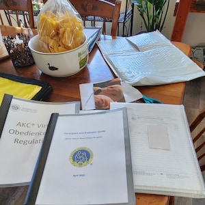 AKC Rally NOVICE Laminated Sign Set With Practice Courses - Etsy