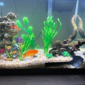 Aquarium Naval Floating Mine - Etsy