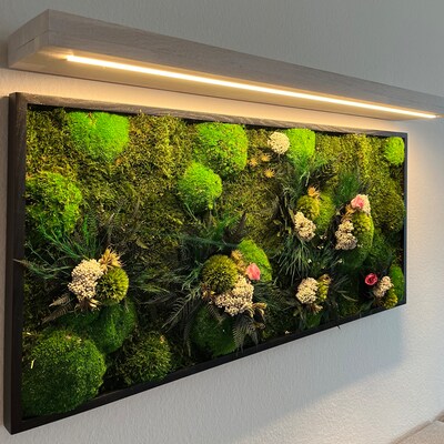 Beautiful Preserved Moss Artwork With LED Lights Live Moss LED Wall Art ...