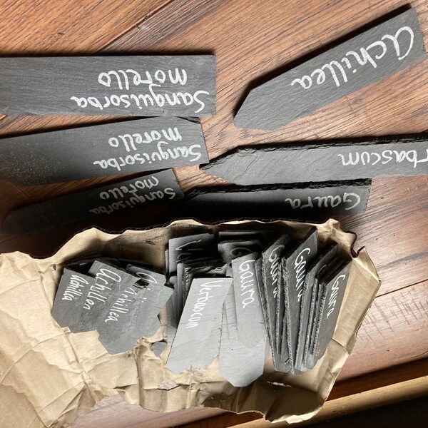 Reclaimed Slate Garden Markers – Approx 30 Natural Plant Labels – 2kg ...