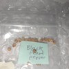Egg Tree Seeds - Etsy