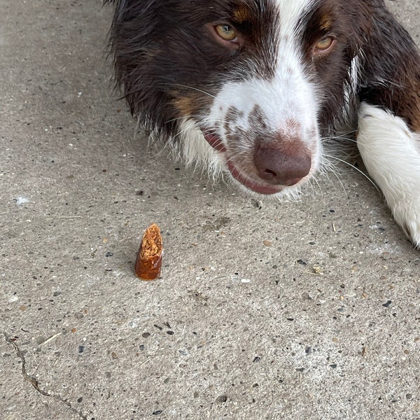 Lof Training Dog Harness With Handle, Designed to Fit Dogs Body Best ...